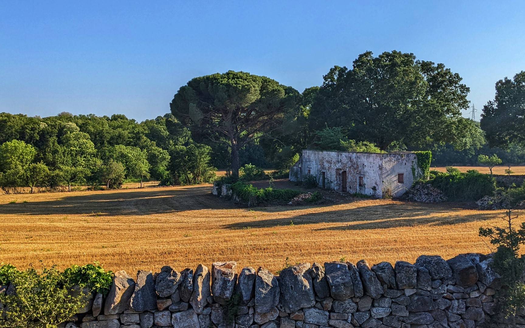 Activities – Villa La Rona | Vacation Home and Retreat in Puglia